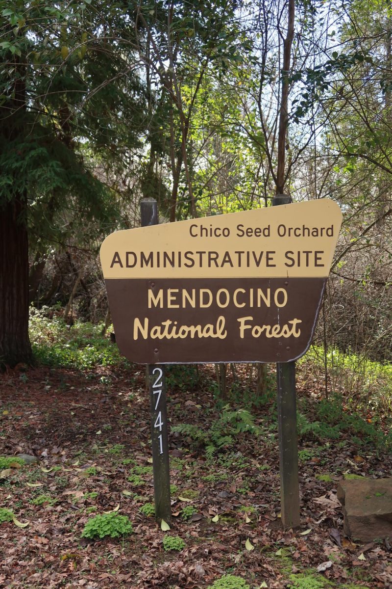 New trail of thought: Chico Seed Orchard – The Orion
